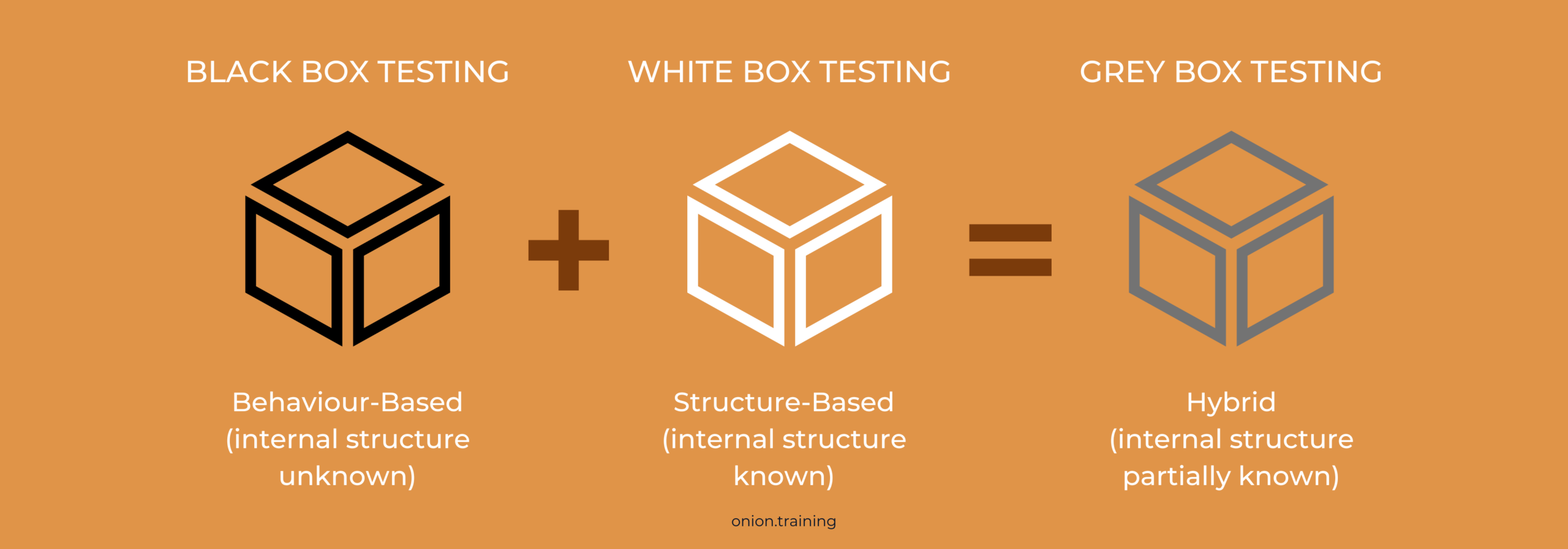 What Is White Box Testing?